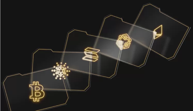 QFS LEDGER | Crypto Wallet Account Login